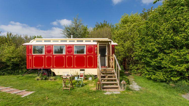 Duke at Spring Park, Cornwall | Paws & Stay