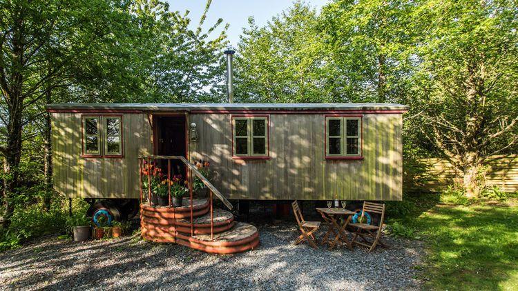 Hercules at Spring Park, Cornwall | Paws & Stay