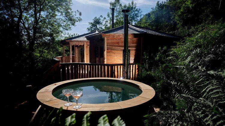 Hideout Treehouse at Sleepy Owl, Devon | Paws & Stay