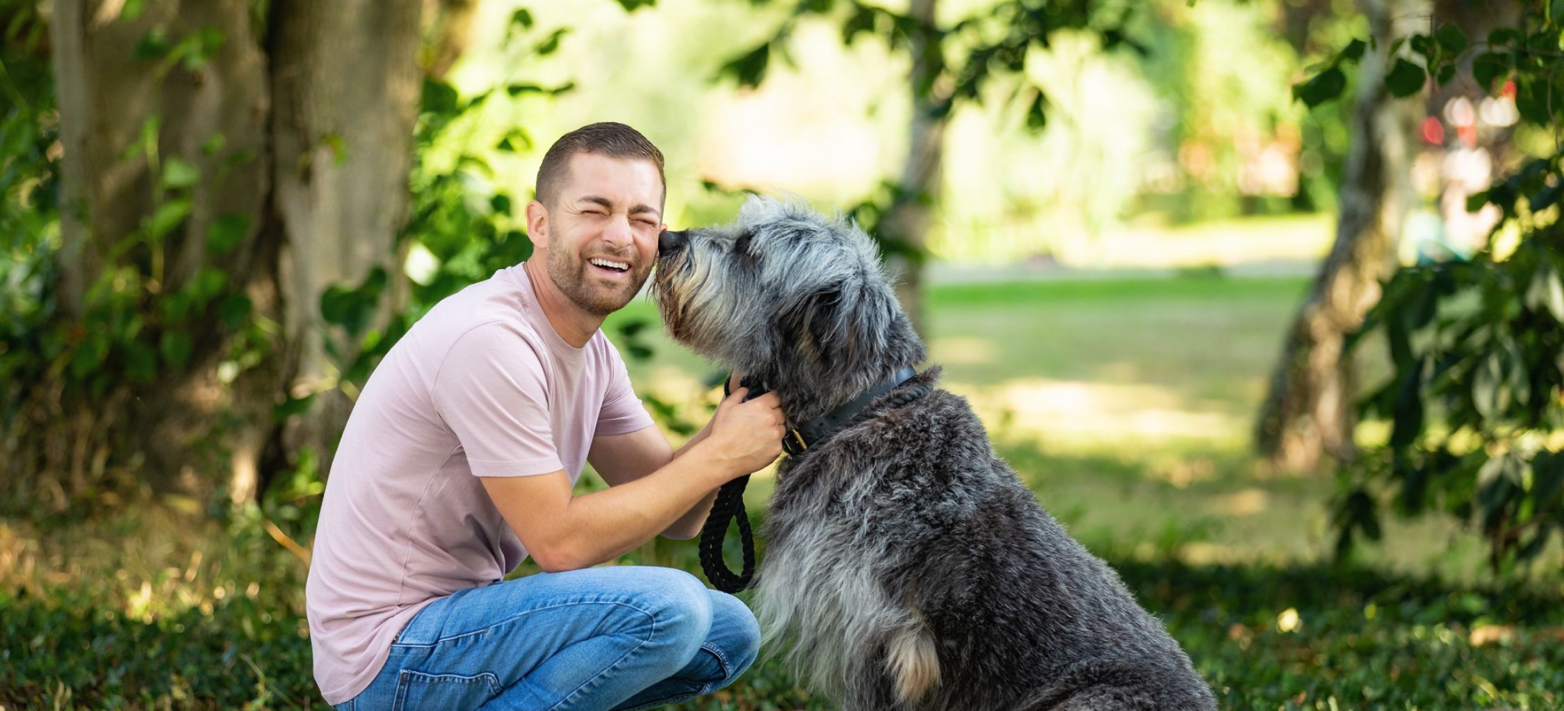 Introducing: Dogtor Adem x Paws & Stay | Paws & Stay