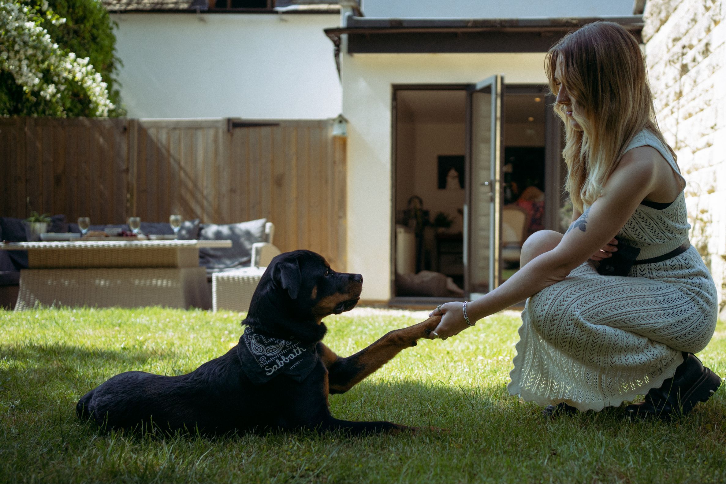 Dog Days Out: 365 things to do with your dog | Paws & Stay