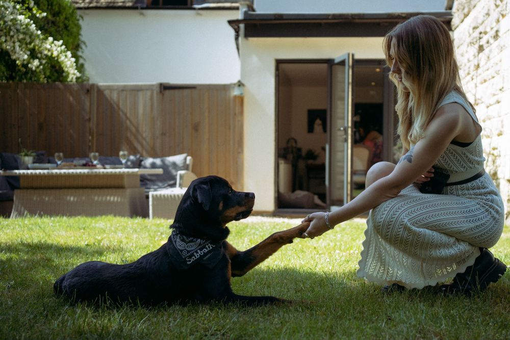 Dog Days Out: 365 things to do with your dog | Paws & Stay