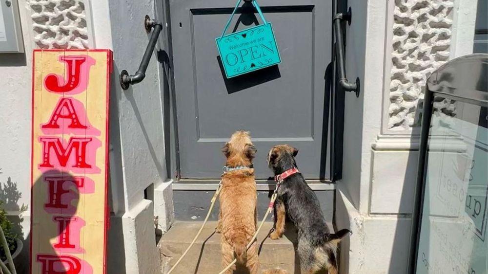Britain’s best dog-friendly afternoon teas | Paws & Stay