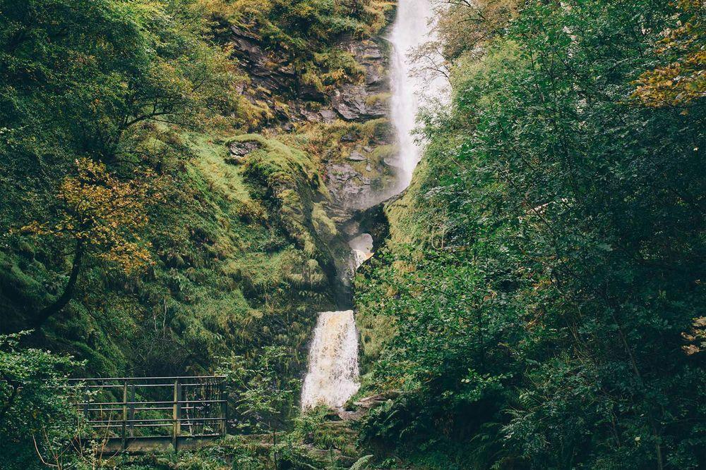 Wales' most scenic dog walks | Paws & Stay