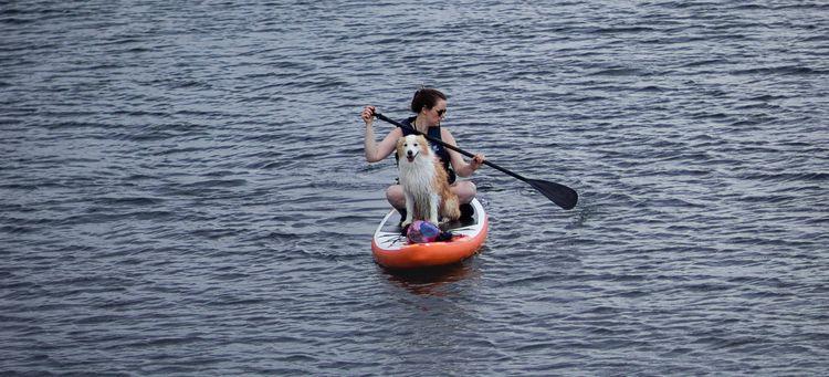 Outdoor activities in Wales you can do with your dog | Paws & Stay