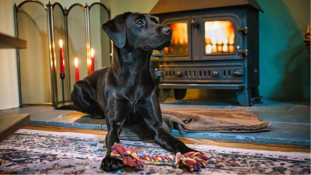 The Forge, Wales | Paws & Stay
