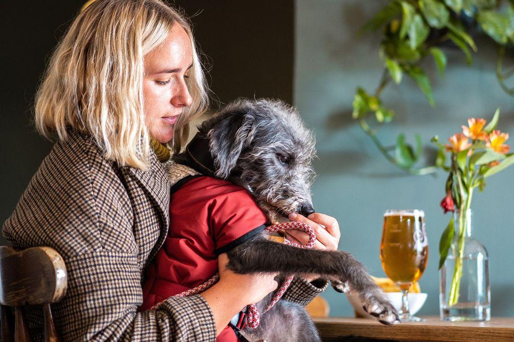 10 of the best dog-friendly pubs and restaurants in the UK | Paws & Stay