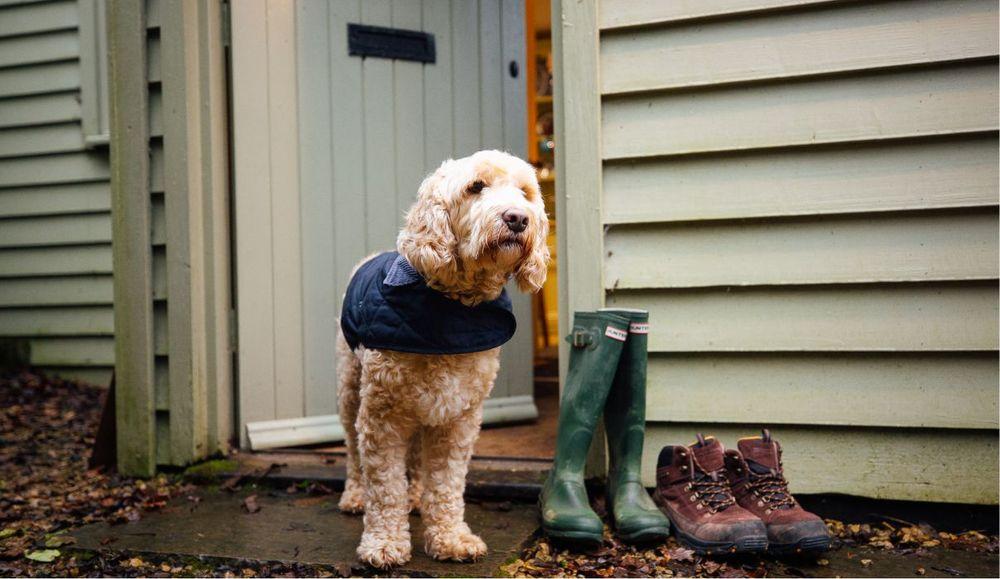 Keeping muddy paws clean on holiday | Paws & Stay