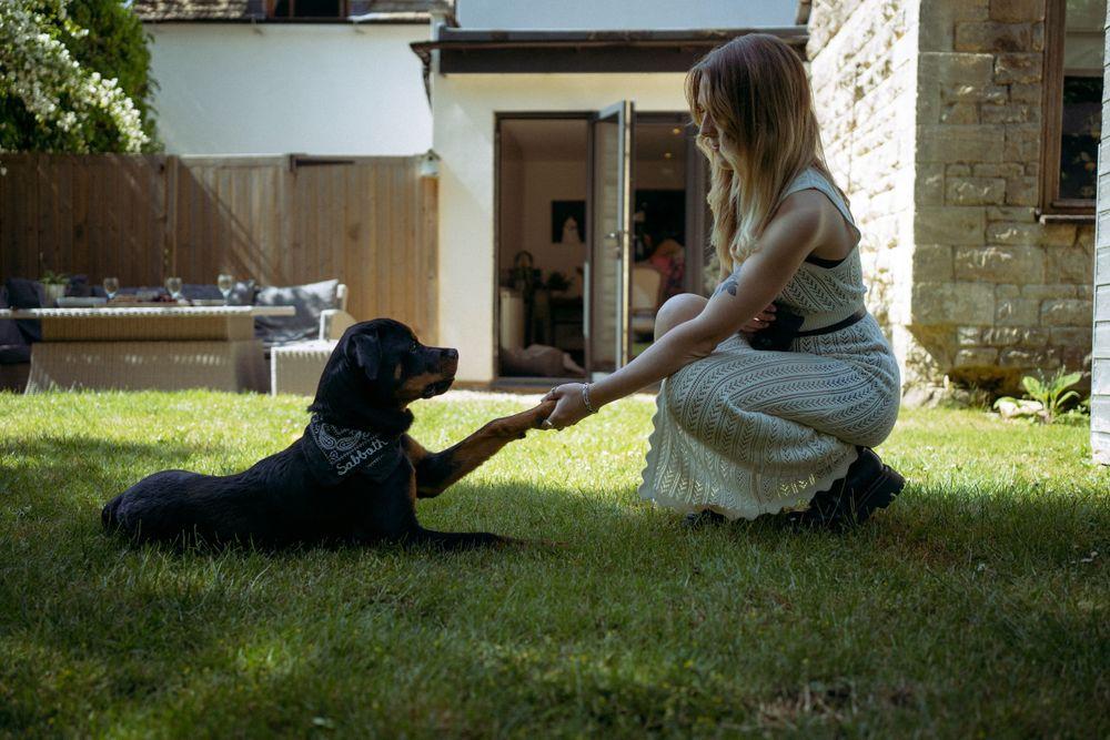 How to build a meaningful relationship with your dog | Paws & Stay