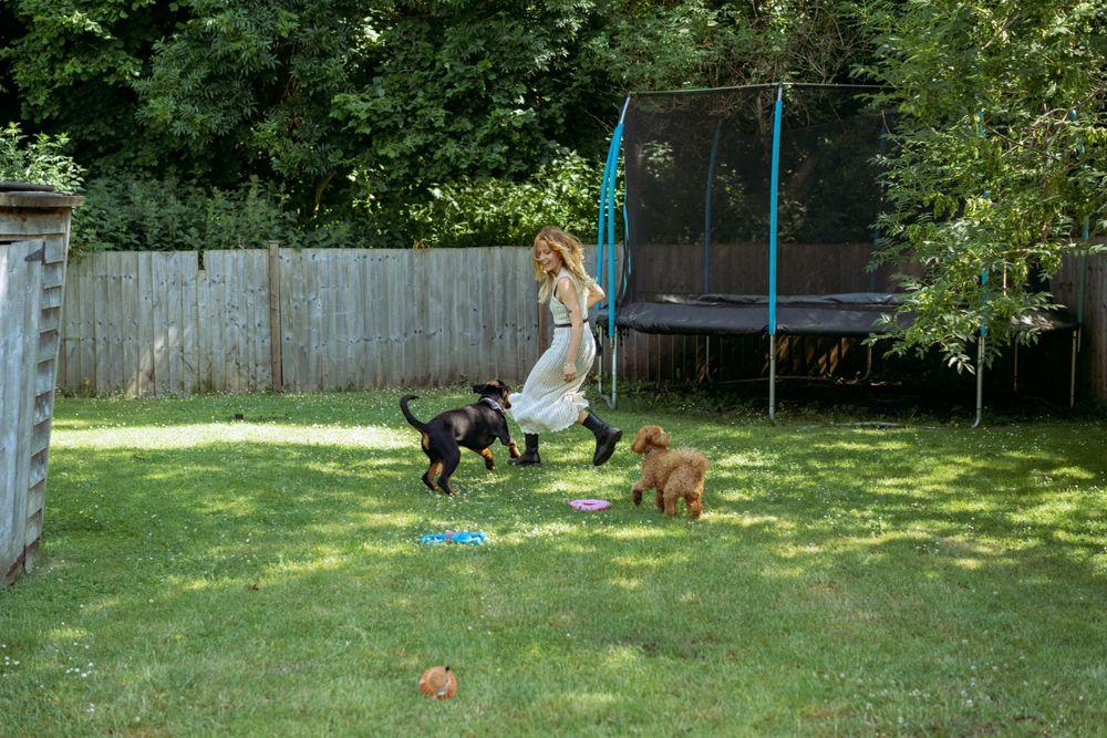 How to build a meaningful relationship with your dog | Paws & Stay