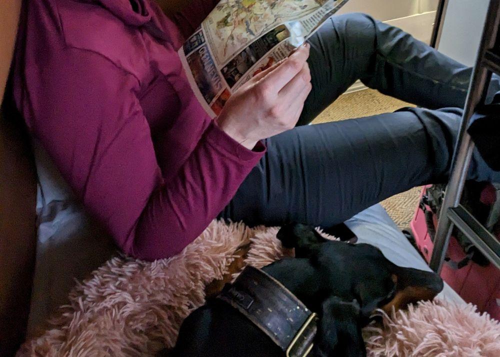 The Caledonian Sleeper Train: What it's like to ride a dog-friendly ...