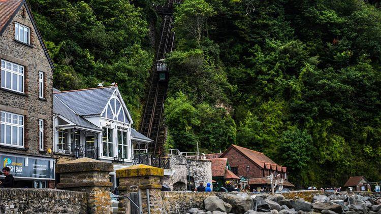 Dog-friendly Devon: the best towns and villages to explore | Paws & Stay