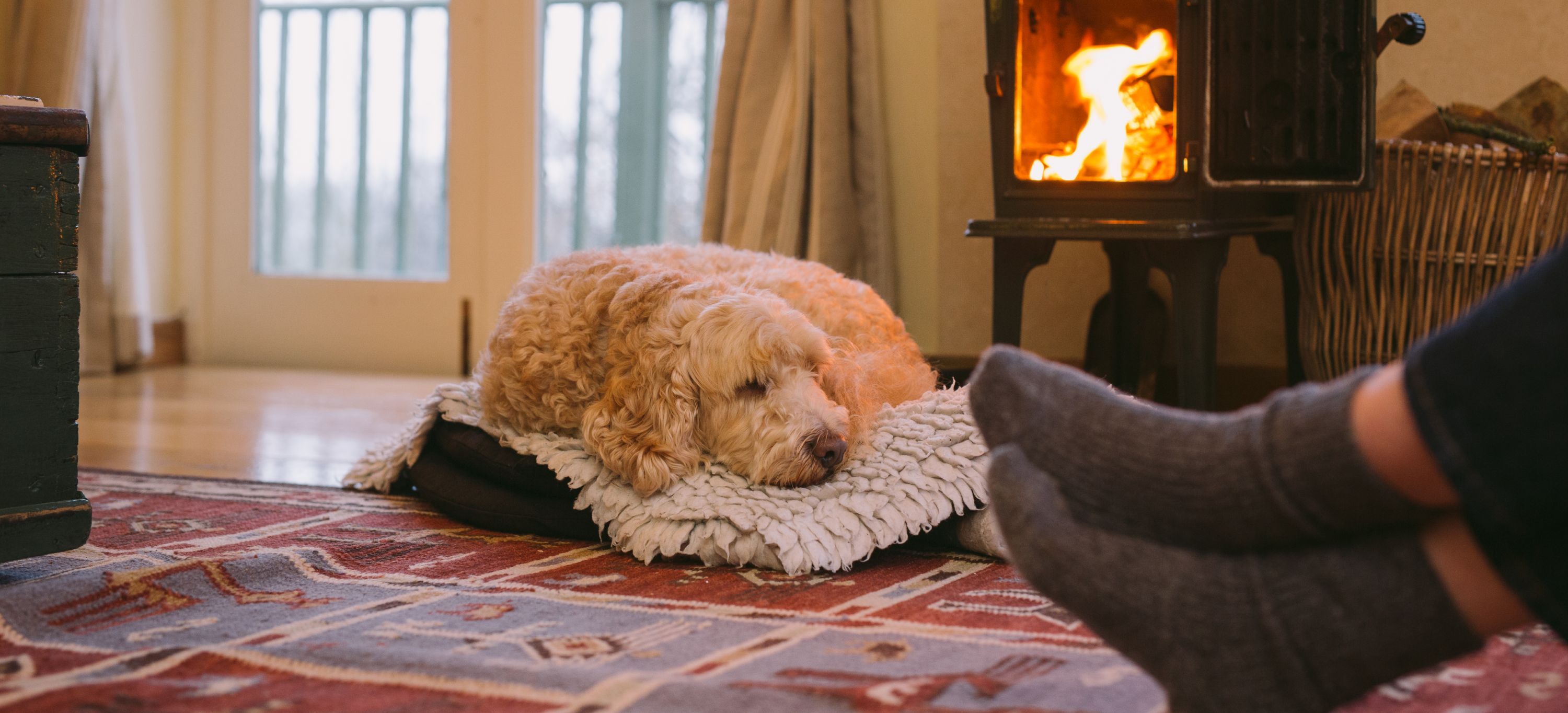 Dog-friendly holidays by Paws & Stay | Paws & Stay
