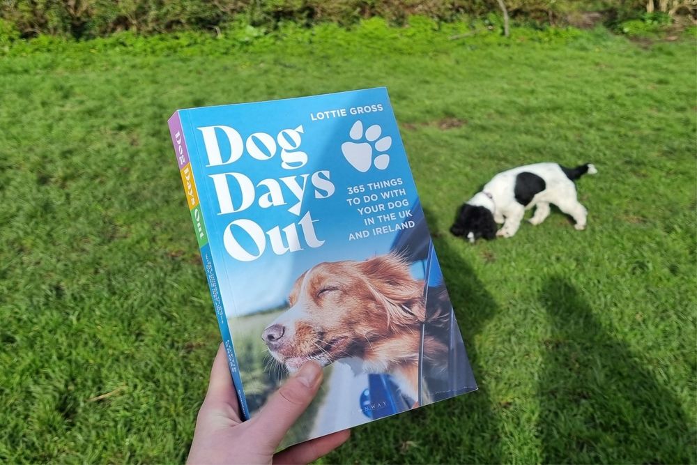 Dog Days Out: 365 things to do with your dog | Paws & Stay