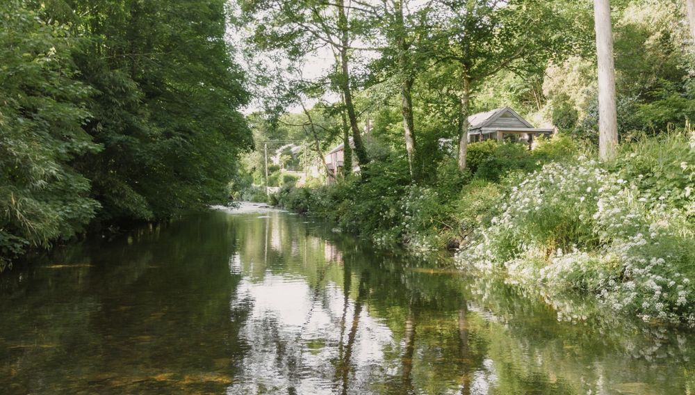 The Batman's Summerhouse, Devon | Paws & Stay