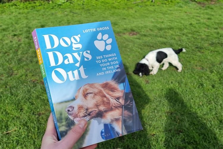 Dog Days Out: 365 things to do with your dog | Paws & Stay